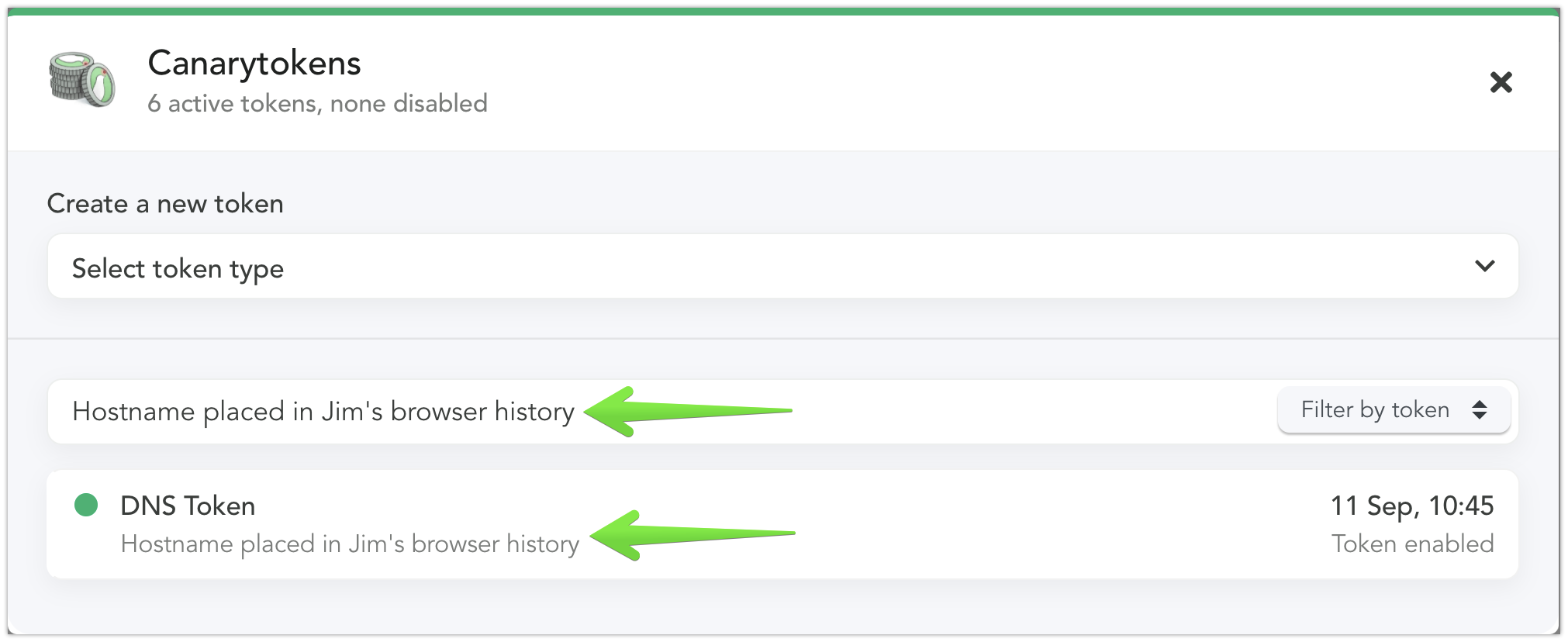 How Do I Delete A Canarytoken Thinkst Canary